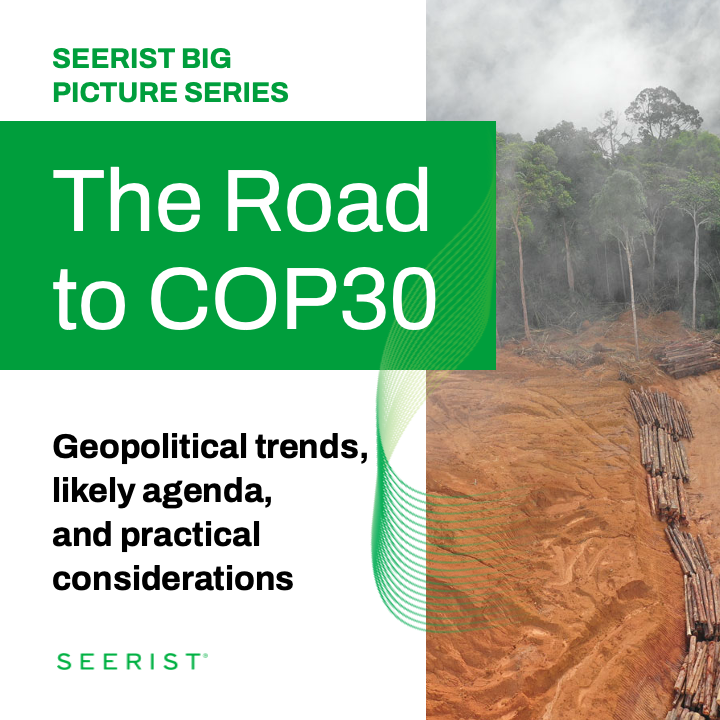 Seerist Big Picture Series: The Road to COP30